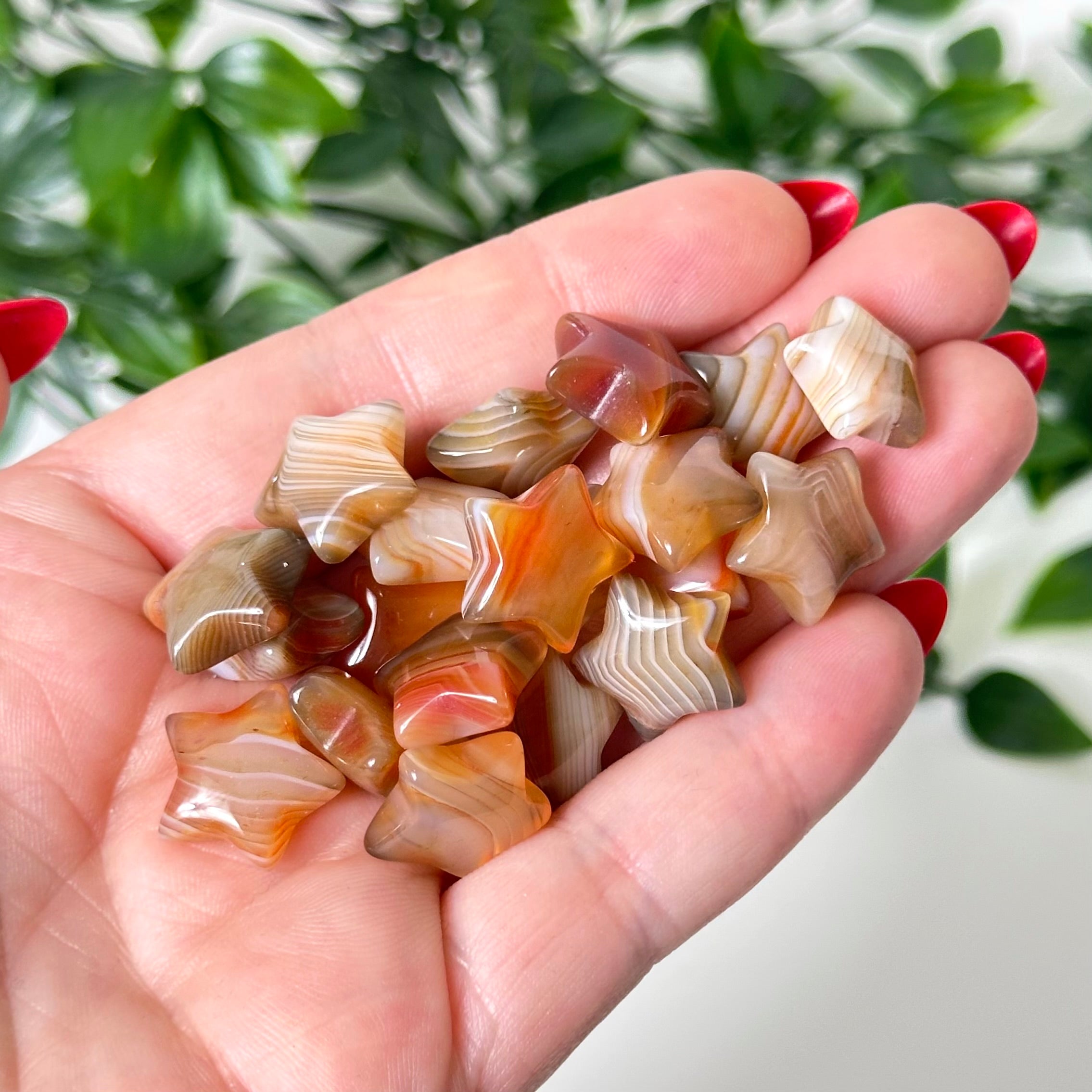 Mini Carnelian Star Crystal Carvings – Crystified